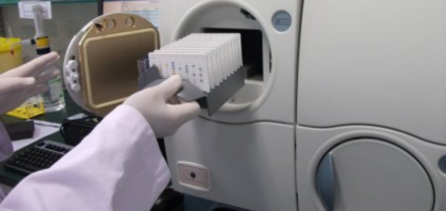 Microbial Identification Via Ms Maldi Tof Eurofins Scientific