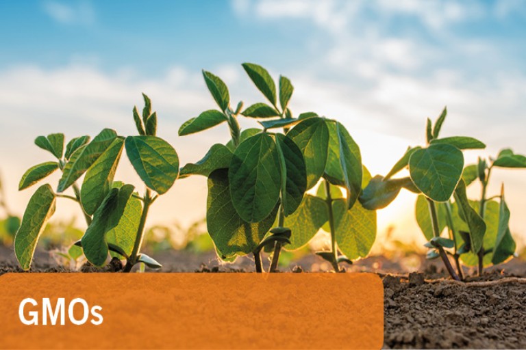 Eurofins Diagnostic and Research for GMO KITS | Eurofins India