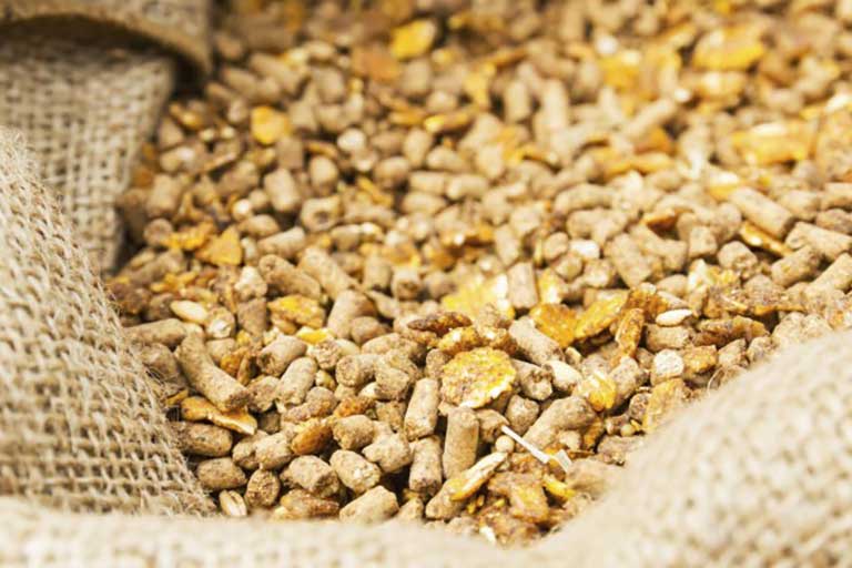 Horticultural Soil & Agricultural Testing Lab | Eurofins