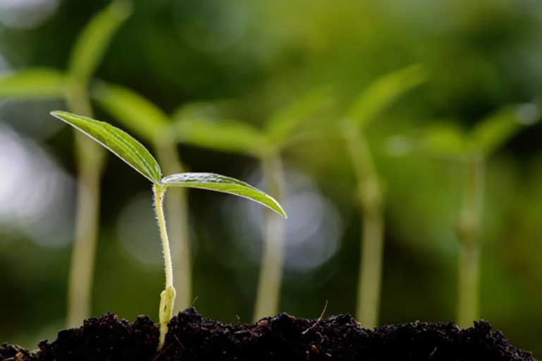 Horticultural Soil & Agricultural Testing Lab | Eurofins