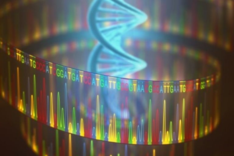 Genomic Services by experts in India | Eurofins Genomics