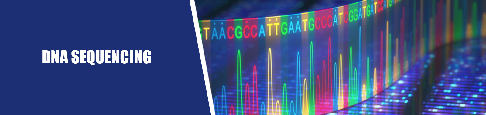 DNA Sequencing - Sanger Sequencing for all Needs | Eurofins India