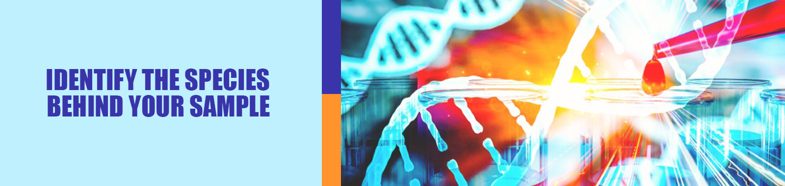 DNA Sequencing - Sanger Sequencing for all Needs | Eurofins India