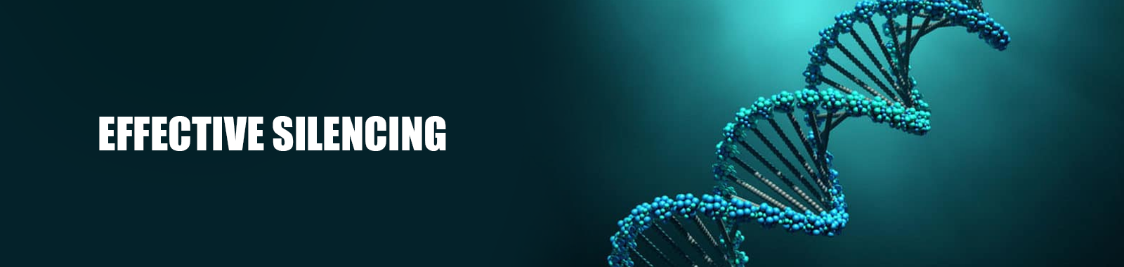 siRNA Modifications - Light Up Your Cells | Eurofins India