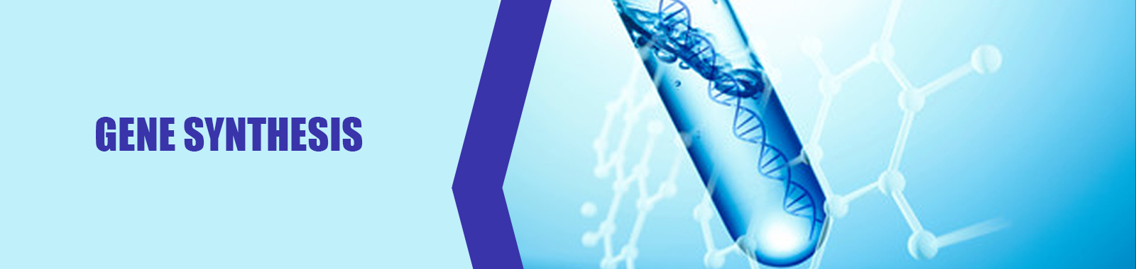 Gene Synthesis & Molecular Biology Services | Eurofins India
