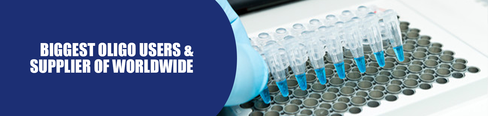 Custom DNA Oligos | Tailormade Products | Eurofins India