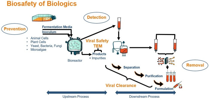 生物学的製剤のバイオセーフティを初期段階からINDおよびBLA申請までマスターする - ユーロフィン