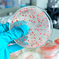 Services - Eurofins Scientific