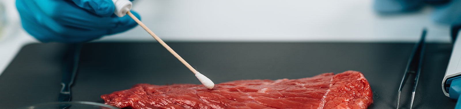 Meat Testing - Meat Analysis - Eurofins Canada