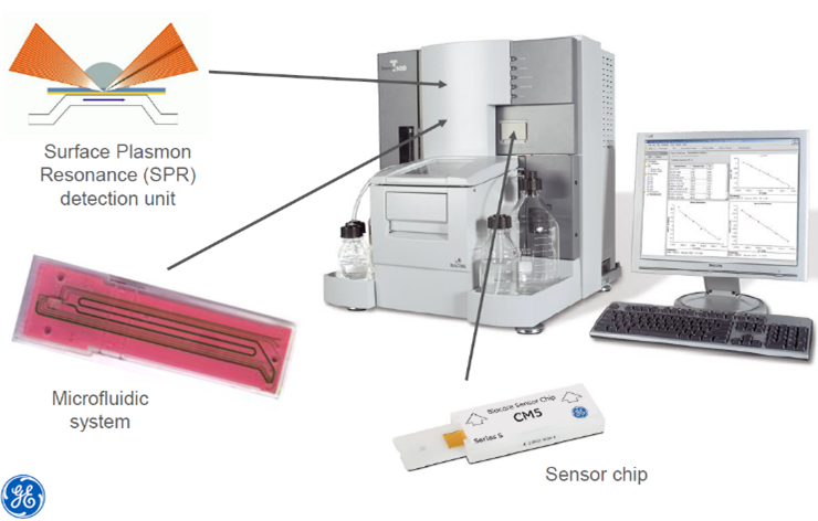 Surface Plasmon Resonance Service Eurofins Deutschland