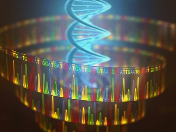 Identity Testing - Eurofins BioPharma Product Testing Netherlands