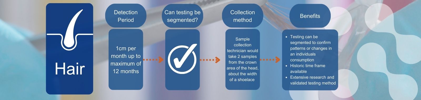 Hair Strand - Eurofins Scientific